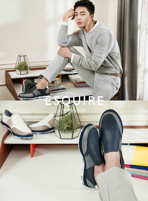 2017 SS ESQUIRE - BOLD